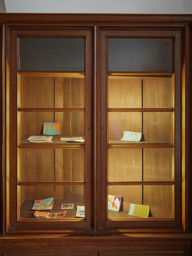 Steve Reinke, The Genital is Superfluous