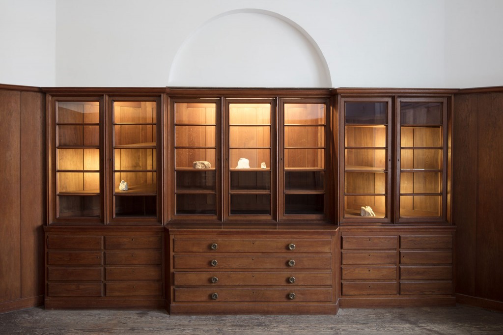 Nora Schultz, CENT DENT