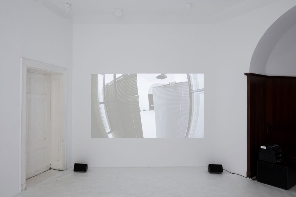 Nora Schultz, CENT DENT